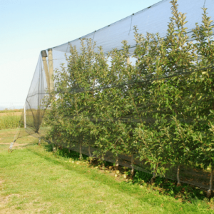 Ausnets | High Quality Safety and Sports Netting Australia