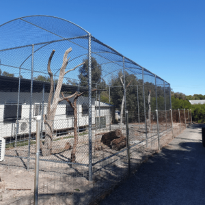 Ausnets | High Quality Safety and Sports Netting Australia