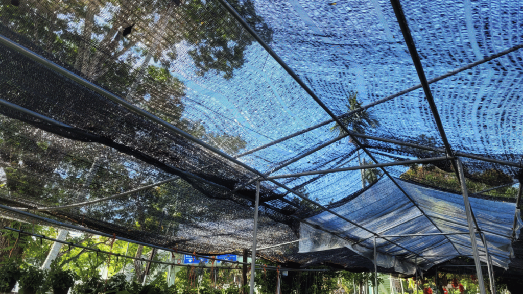 Agriculture & The Environment - Ausnets