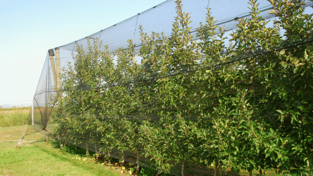 Agriculture & The Environment - Ausnets