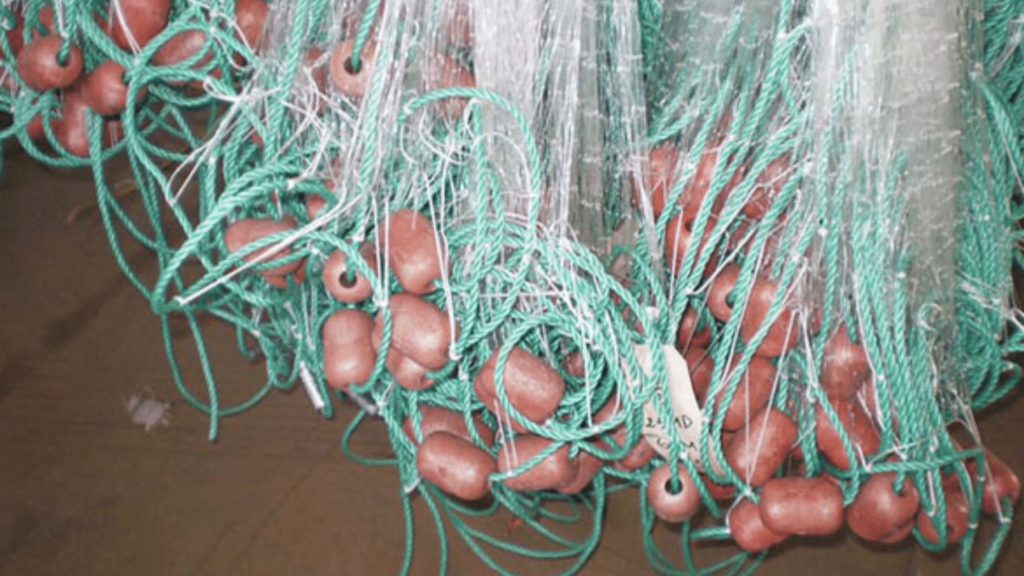 Commercial Fishing - Ausnets