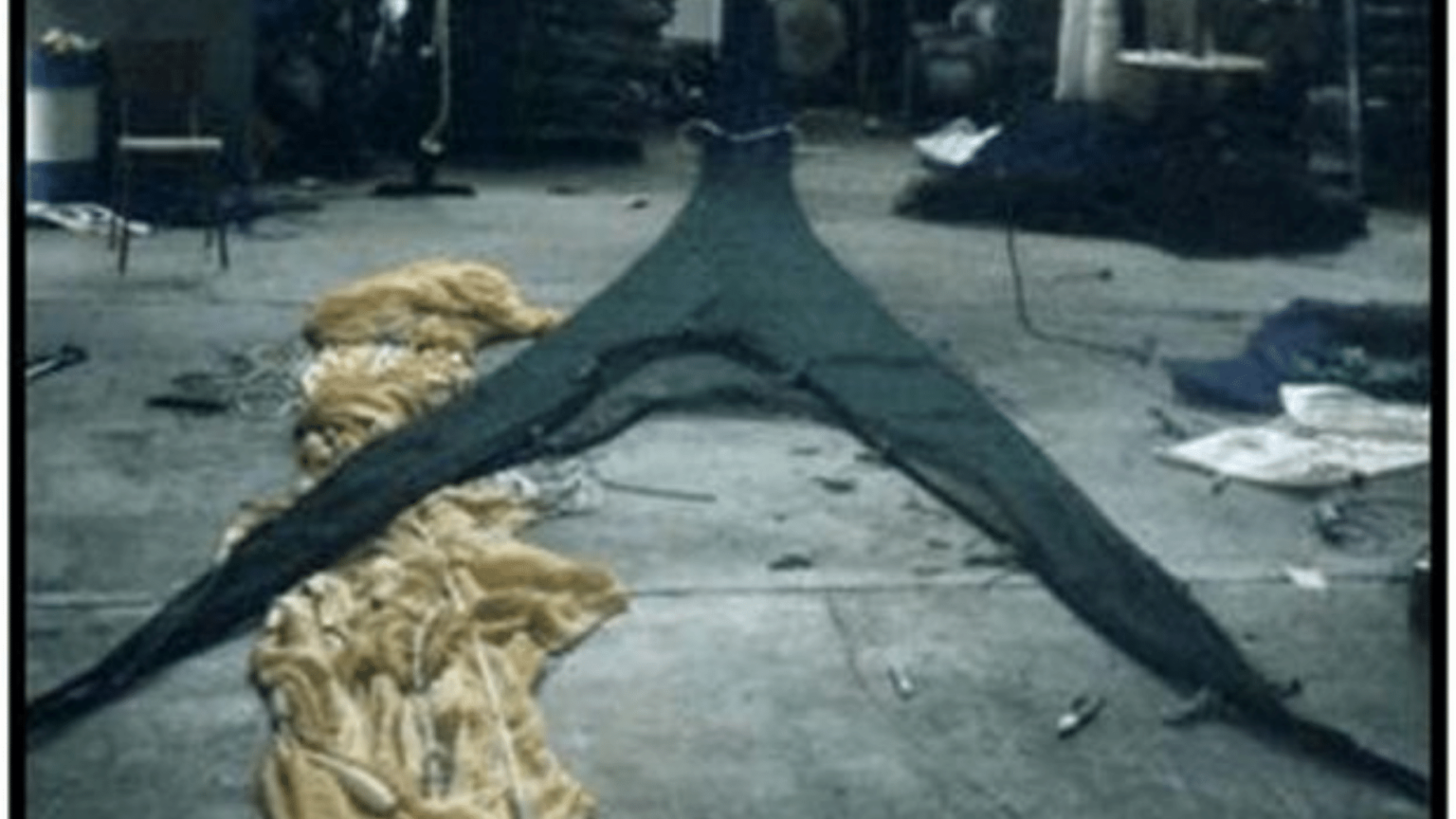 Commercial Fishing - Ausnets