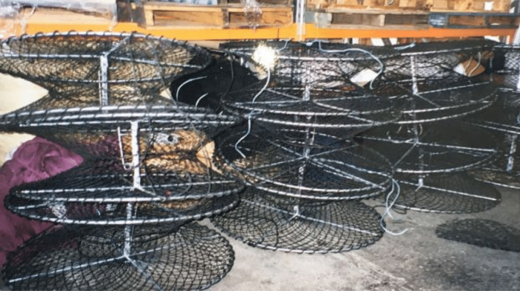 Commercial Fishing - Ausnets