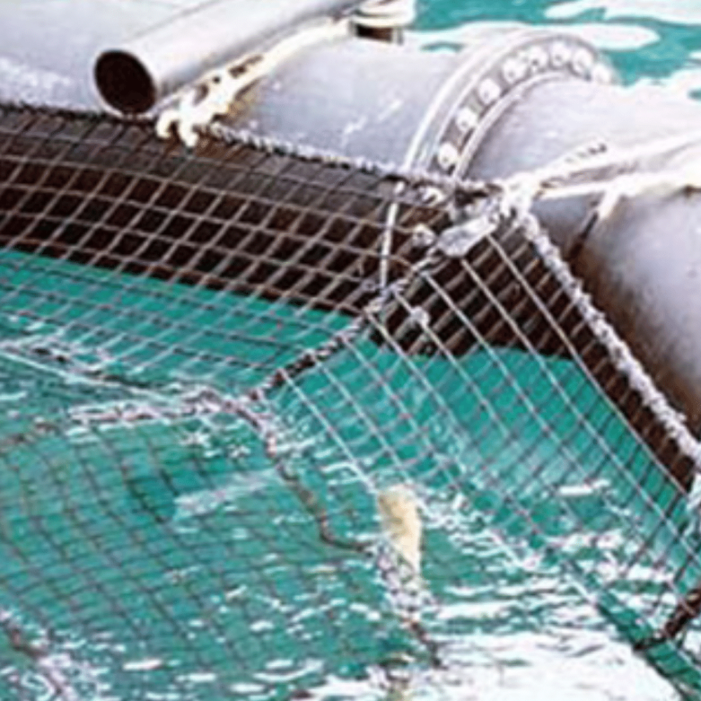 Aquaculture - Ausnets